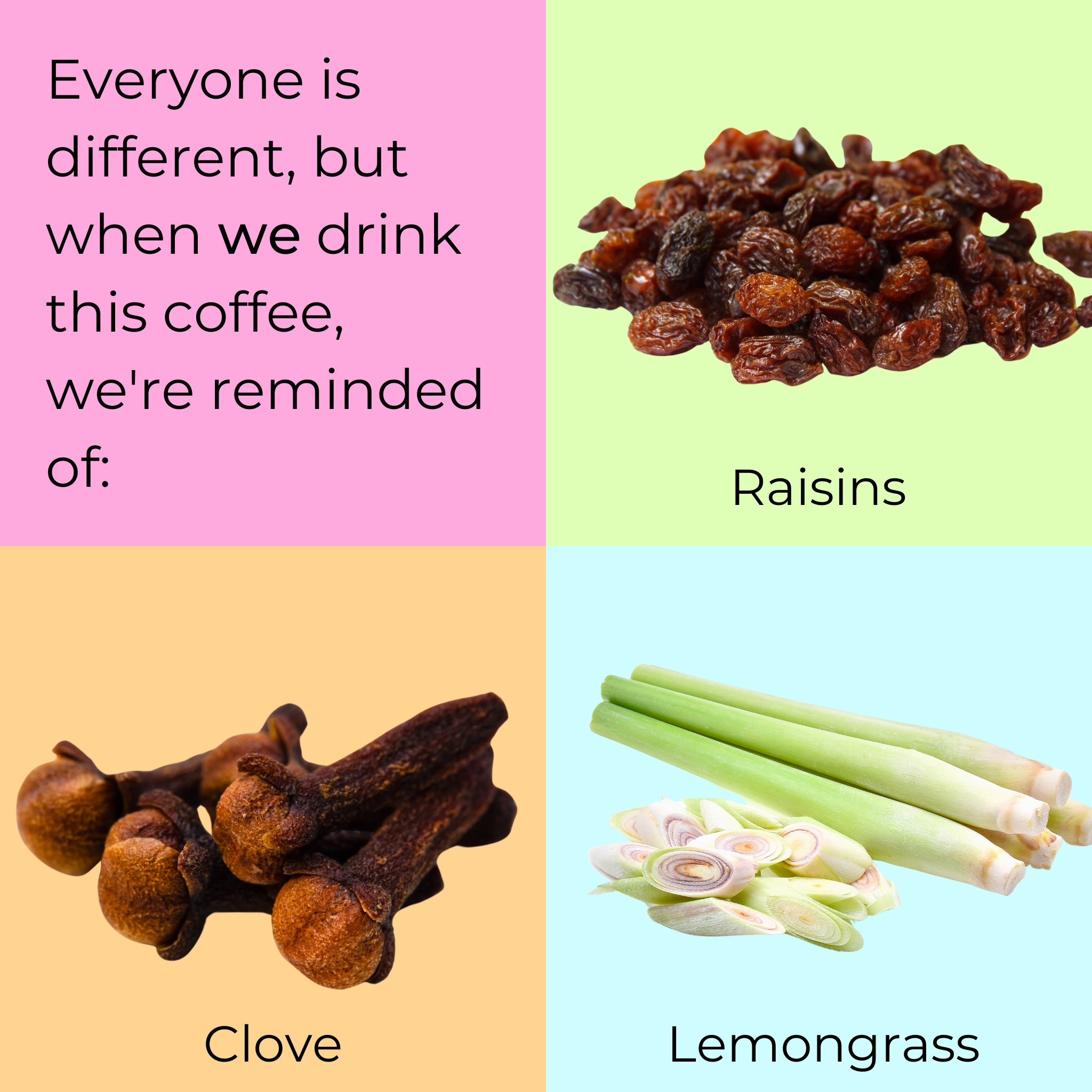 Foundry Coffee Roasters, Sheffield.